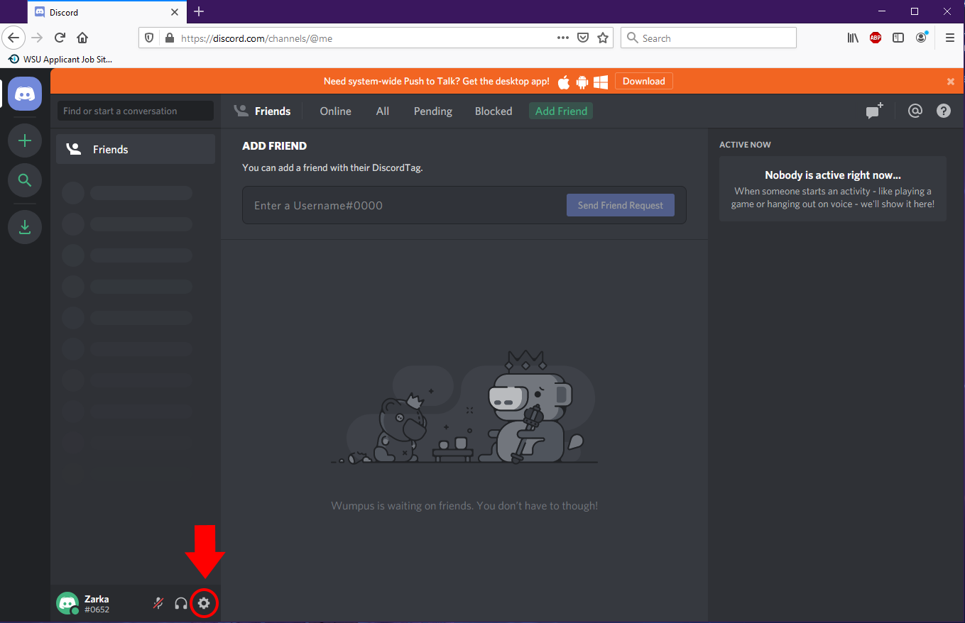How to Use/Install Discord – Terrasylvae