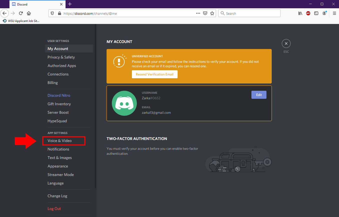 How to Use/Install Discord – Terrasylvae